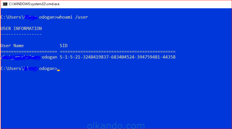 Windows SID nedir? Nasıl bulunur